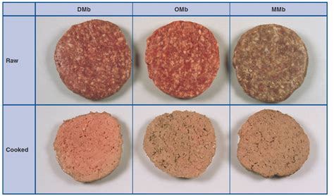 Can Raw Meat Be Canned At Charles Reilley Blog