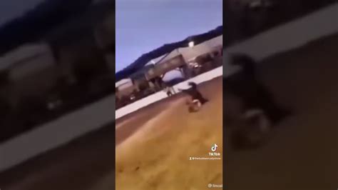 Body Slam Youtube