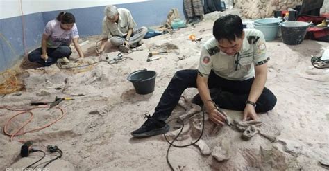 รวมรูปภาพของ ขอนแก่นขุดพบฟอสซิลไดโนเสาร์ ใหญ่กว่า ภูเวียงโกซอรัส สิรินธรเน่ ลุ้นเป็นสายพันธุ์