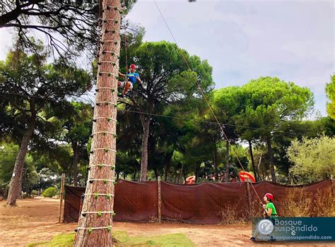 Bosque Suspendido Parque de Aventuras en los Árboles mejoresparques