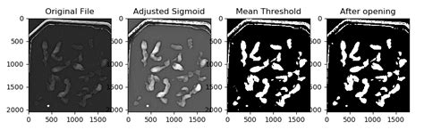 Python How To Remove The Noise On The Border Without Losing Data In The Middle Of Mask Stack
