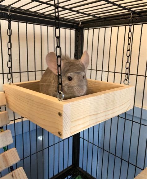 Chinchilla Wood Ledge And Cube Bundle 10x10 Swing 8x8 Cube Etsy