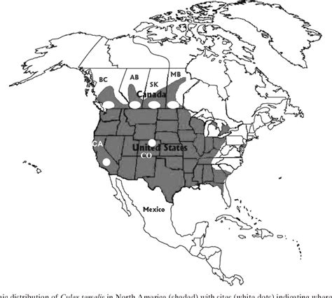 Figure 1 From Distribution And Phylogenetic Comparisons Of A Novel