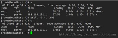 Centos T掉用户centos7 Who 把登陆账号退出 Csdn博客