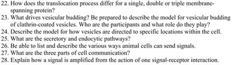 Solved 22 How Does The Translocation Process Differ For A