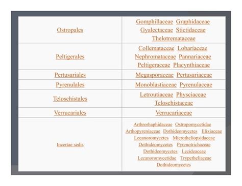 Lichen Powerpoint Presentation Pdf Biological Sciences Science