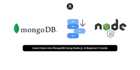 Insert Data Into Mongodb Using Nodejs A Beginners Guide