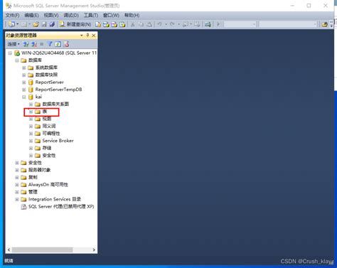 利用sql Server 2012创建花名册如何把花名册导入sql Csdn博客
