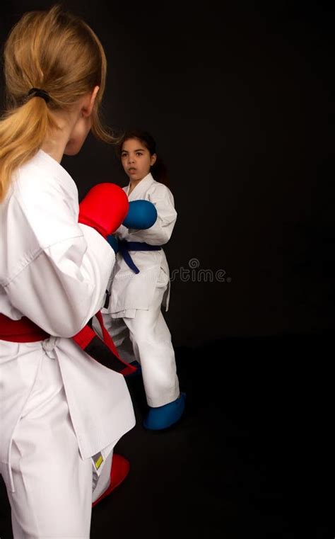 Karateka On A White Background Stock Image Image Of Boxing Profil
