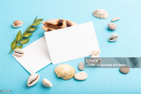 백서 명함 조개 녹색 박스 우드구성 파란색 파스텔 배경에 모형 공백 측면 보기 정물 복사 공간 여행 컨셉 0명에 대한 스톡 사진