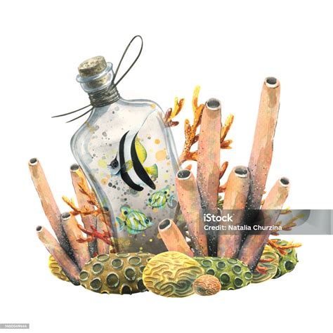 산호와 바다 스폰지가있는 병에 열대 물고기 수채화 구성 엽서 기념품 포스터 배너 스티커 인쇄물 디자인을위한 삽화 열대 기후에