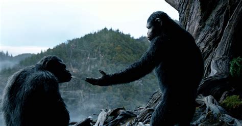 Critique La Planète des Singes L Affrontement
