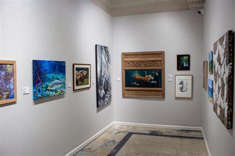 77th Annual Art Exhibition Whats On Exhibitions Cairns Art Gallery