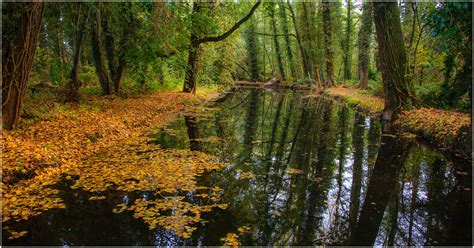 Herbst An Der Nette Foto And Bild Landschaft Jahreszeiten Herbst