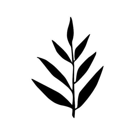 Ramo De Folha De Floresta Desenhado à Mão Bonito Folhas Tradicionais Em