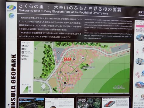 大室山麓さくらの里の十月桜三波川冬桜伊東市 しずおかはなさんぽ