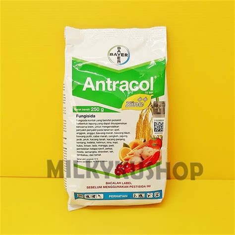 Jual FUNGISIDA ANTRACOL 70 WP ZINC KEMASAN PABRIK 250 GRAM Indonesia