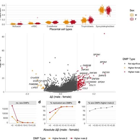 Sex Differences In Autosomal Dname Patterns By Placental Sex A Cell