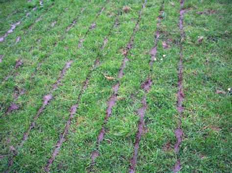 Even Distribution Of Slurry Conor Engineering