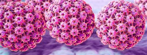 Hpv Impfung Für Jungen Praxis Dr Weinzierl Nürnberg
