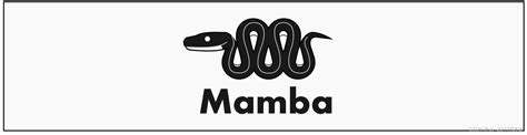 Mamba来了，python Conda加速神奇，体验飞一般的感觉python数据分析精进 Csdn专栏