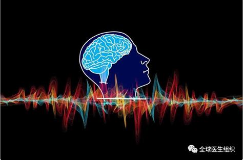 MIT科学家证明伽玛波能治疗神经系统疾病早期症状 澎湃号湃客 澎湃新闻 The Paper