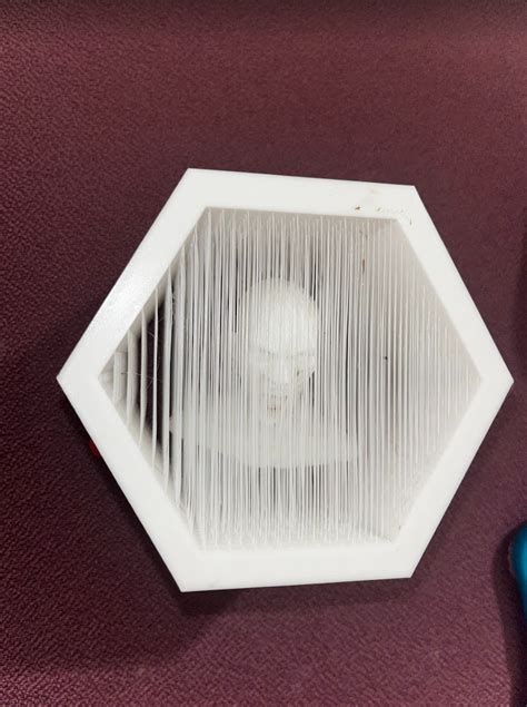 Suspended Anatomy Of Rage By Potato Boi Download Free Stl Model