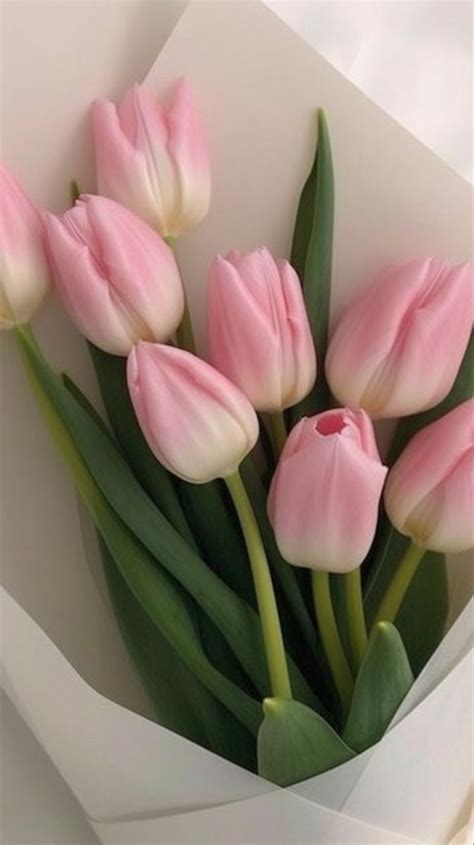 A Bouquet Of Pink Tulips In A White Vase