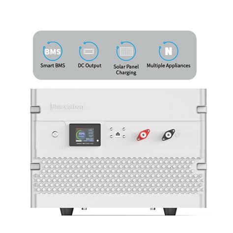 China Blue Carbon High Quality Good Price Lifepo4 Battery 48v 200ah