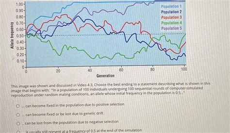 Allele Frequency Graph