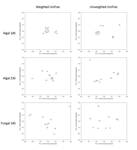 3 principal coordinate plots of weighted abundance data left and