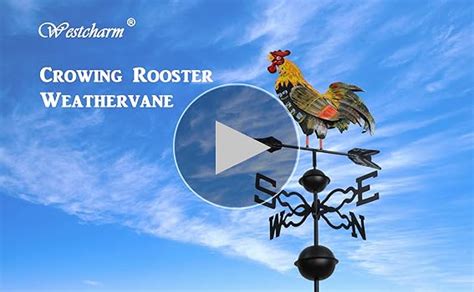 Wind Vane Coloring Pages Printables 2025