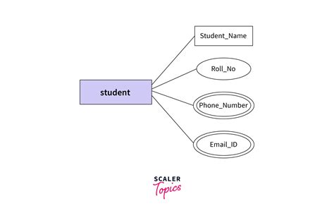 multivalued attribute er diagram for companies edrawm