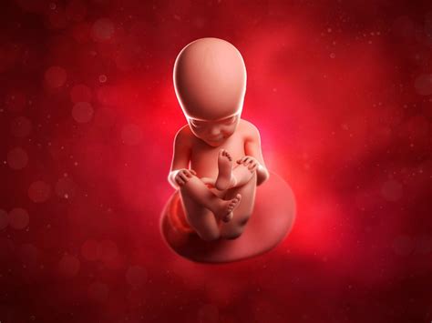 Revolutionizing Reproductive Technology With The Worlds First