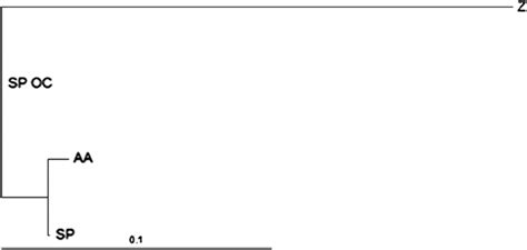 Upgma Dendrogram Based On Fst Distance Values Calculated From Frequency Download Scientific