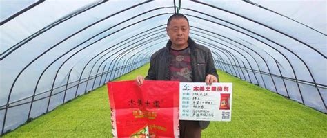 2022年粮食价格会上涨吗？影响水稻玉米价格