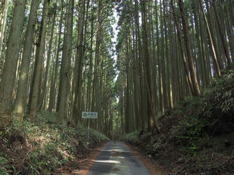 三重県 津市 美杉町 MORITOの冒険紀行