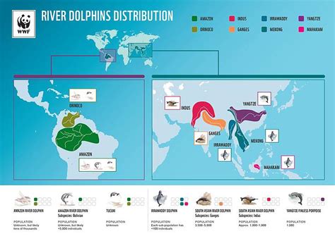 Global Distribution Of River Dolphins Rmapporn