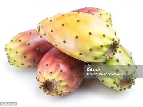 흰색 배경에 Opuntia 과일 또는 가시 배 과일 클로즈업 가리기에 대한 스톡 사진 및 기타 이미지 가리기 가시 건강한