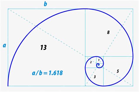 Premium Vector Fibonacci Ratio Divine Proportion Isolated 3d