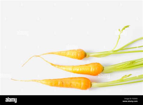 Fresh Baby Carrots Isolated On White Background Stock Photo Alamy