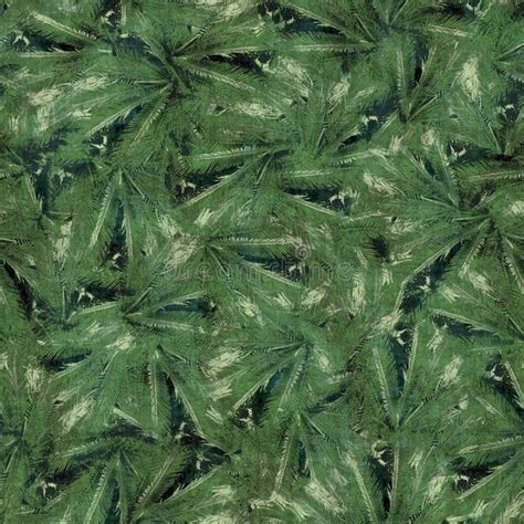 Green Tropical Palm Tree Leaves Seamless Pattern Stock Image Image Of