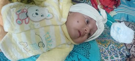 Img20230124005745 Naheda Sultana Flickr