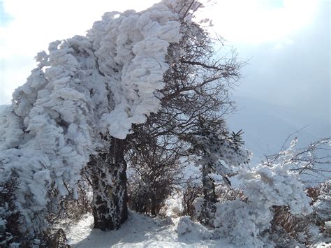 Στόλισμα της φύσης Decoration Of The Nature Chris Dimos Flickr