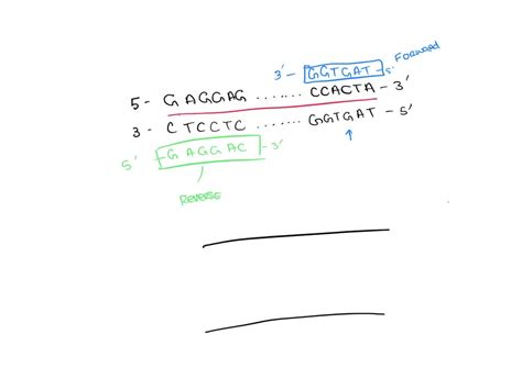 Solved Design Pcr Primers For The Dna Sequence Given Below And Explain