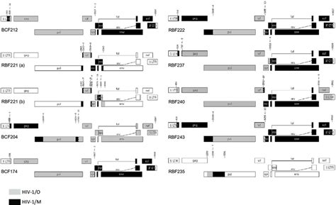Genomic Profiles Of The 10 Hiv 1 Mo Recombinants Described In This Download Scientific Diagram