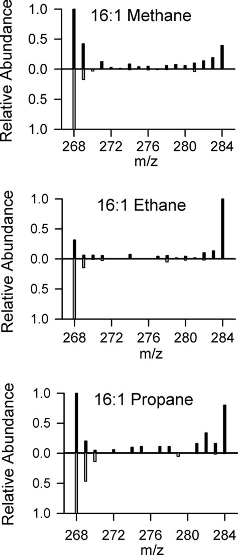Identification Of Novel Methane Ethane And Propane Oxidizing