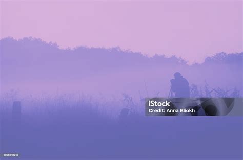 매우 페리 핑크 평온 안개 하늘 극적인 옴브레 풍경 일출 사진 리어 뷰 포레스트 메도우 라일락 퍼플 파스텔 울트라 바이올렛 그라데이션 로맨틱 한 트렌디 한 컬러 2022 톤
