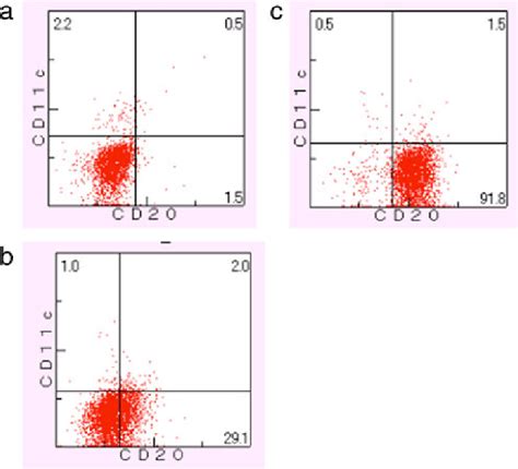 Flow Cytometric Classification Of Cd20 Levels A Negative No