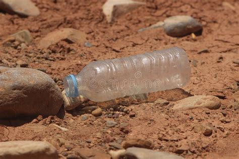 A Plastic Bottle Lying On The Ground Plastic Pollution Plastic